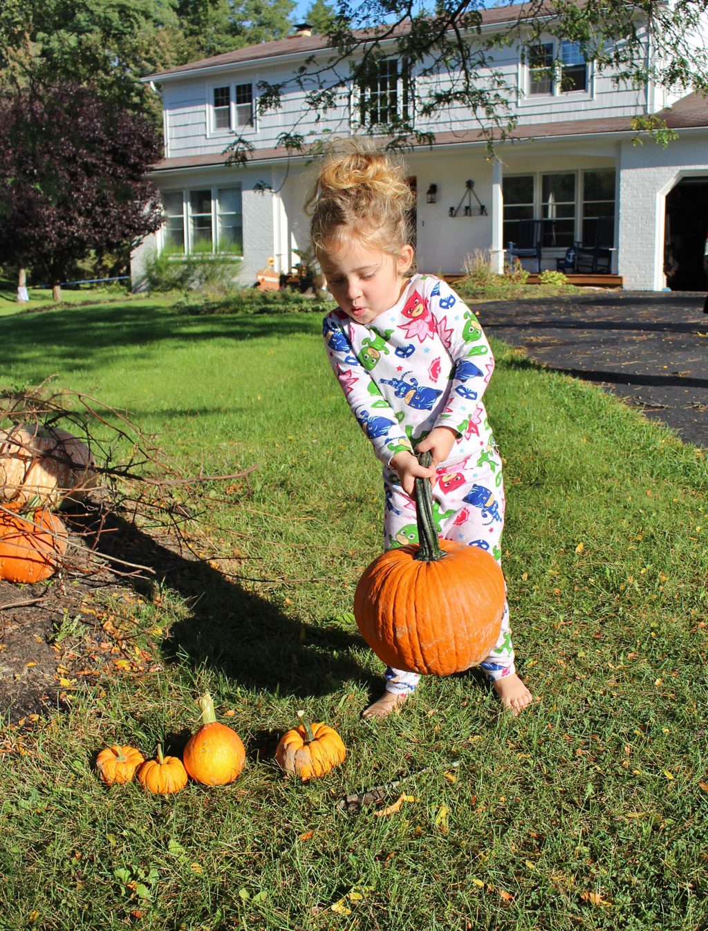 Magic Pumpkins - Raising Hooks