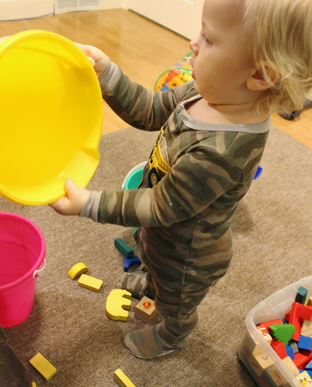 Sorting Colors With Blocks And Buckets - Raising Hooks