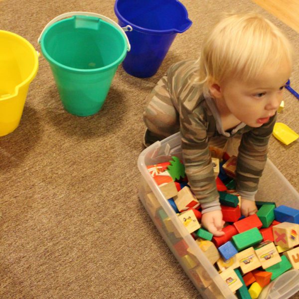 Sorting Colors With Blocks And Buckets - Raising Hooks