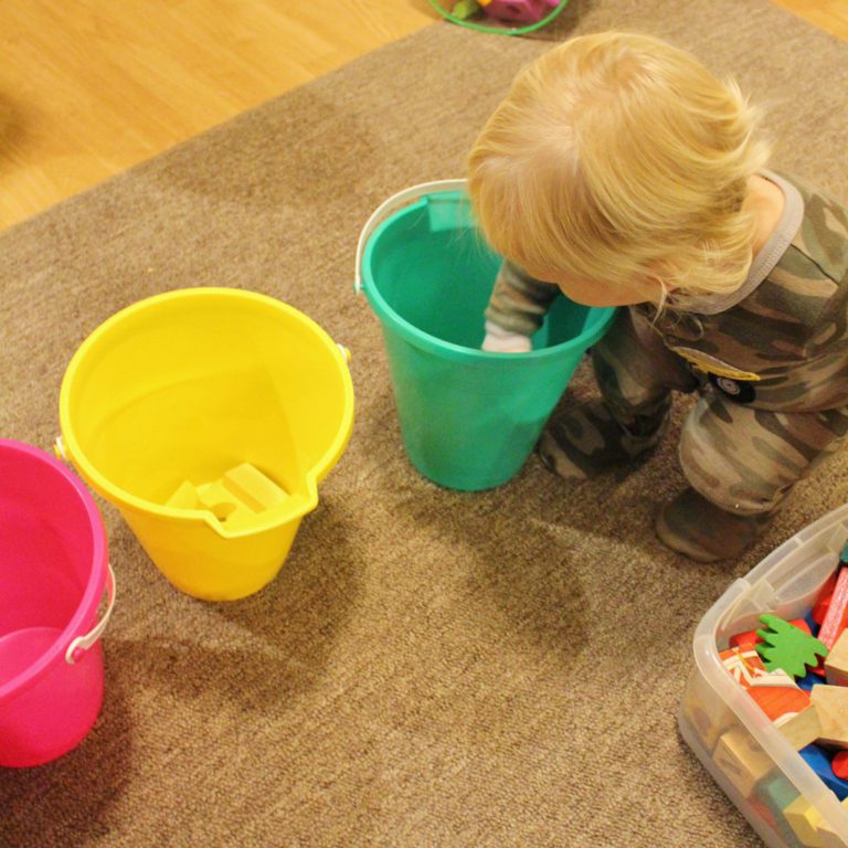 Sorting Colors With Blocks And Buckets - Raising Hooks