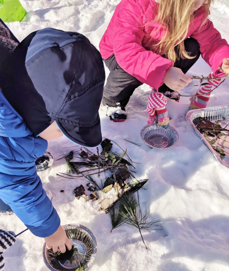 Icy Treasures: Freezing and Exploring Nature’s Wonders in Winter ...