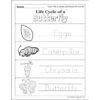 Life Cycle of a Butterfly Tracing Worksheet - Raising Hooks