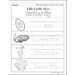 Life Cycle of a Butterfly Tracing Worksheet - Raising Hooks