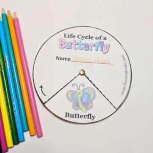 Life Cycle Of A Butterfly Packet - Raising Hooks
