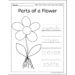 Parts of a Flower Word Trace - Raising Hooks