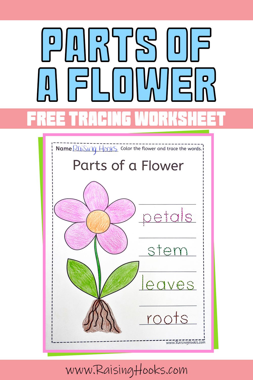 Parts of a Flower Word Trace - Raising Hooks