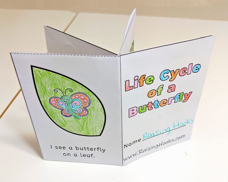 Life Cycle Of A Butterfly Packet - Raising Hooks