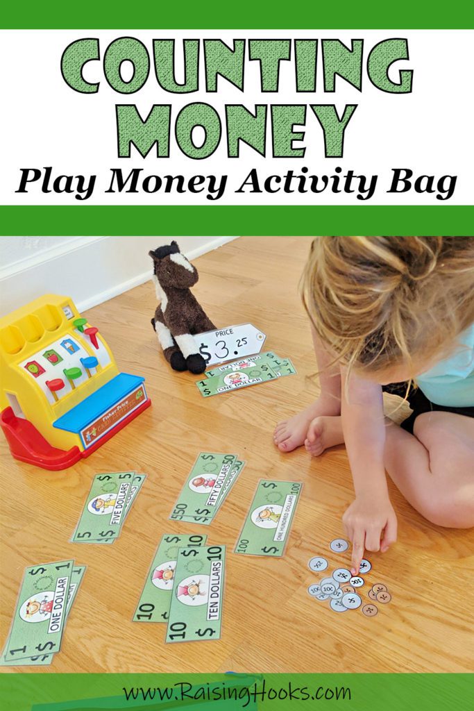 Counting Money Activity Bag - Raising Hooks