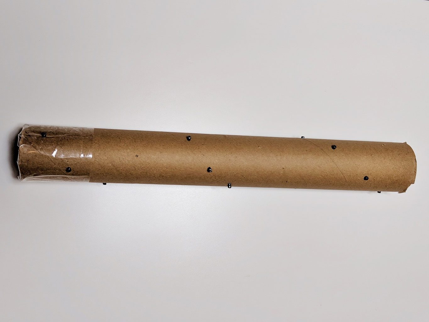 Rainsticks - Raising Hooks