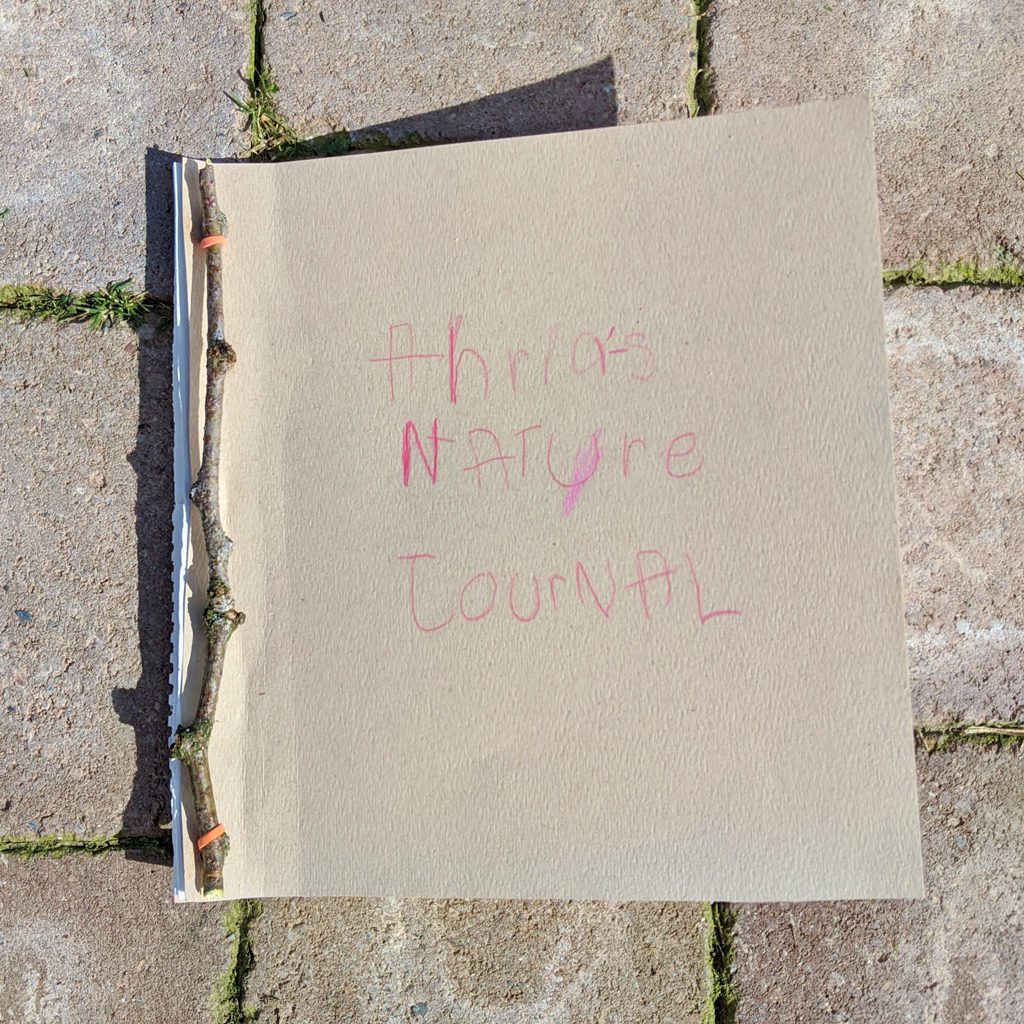 Nature Journal - Raising Hooks