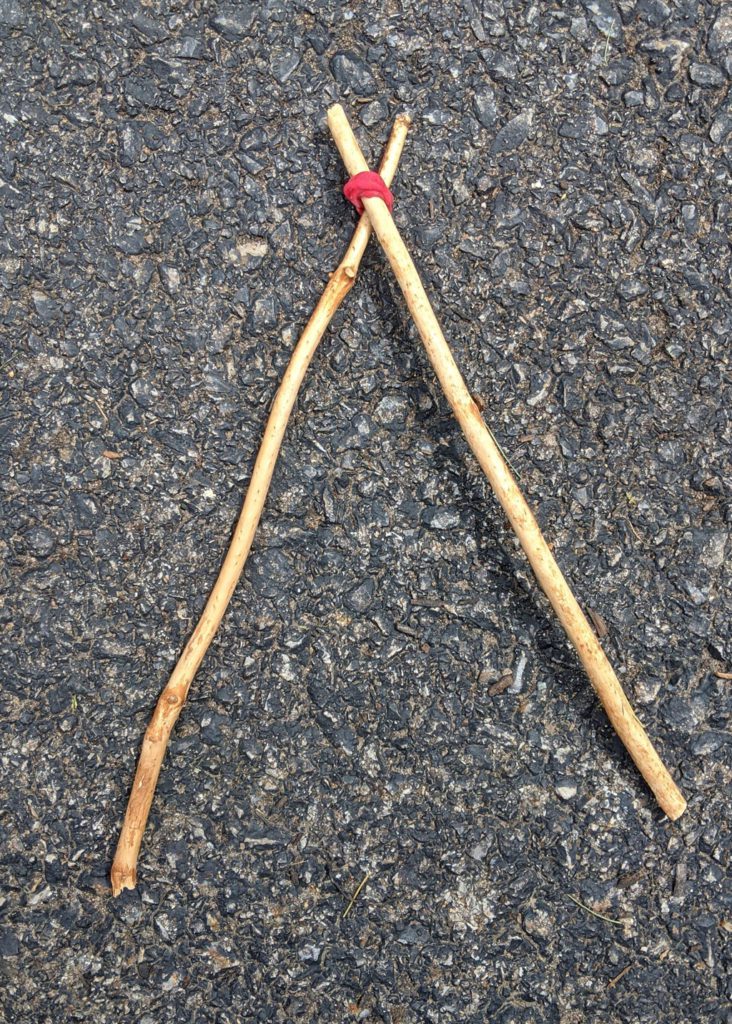 Twig Stars - Raising Hooks