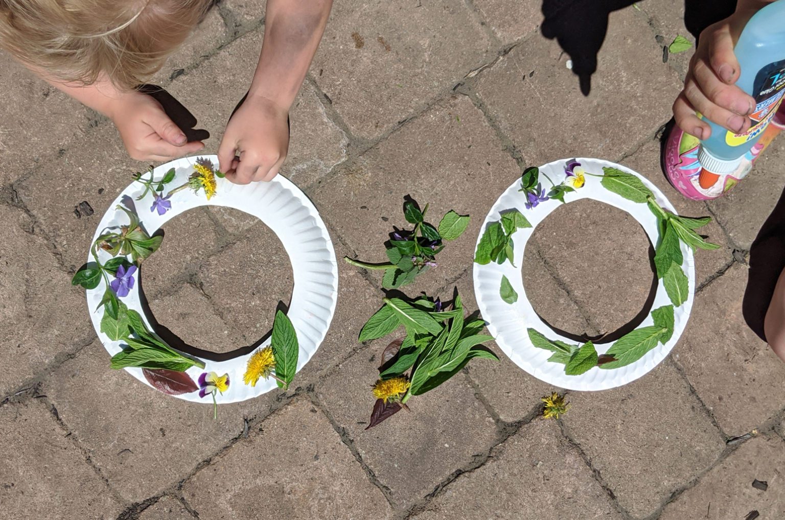 Paper Plate Nature Wreath - Raising Hooks