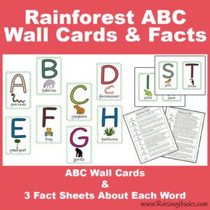 Rainforest Diorama - Raising Hooks