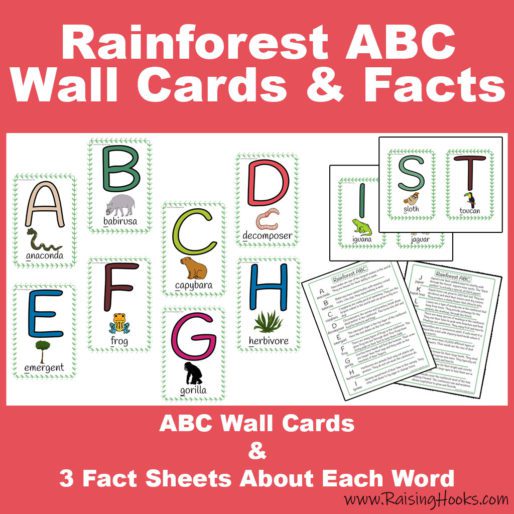 Rainforest Diorama - Raising Hooks