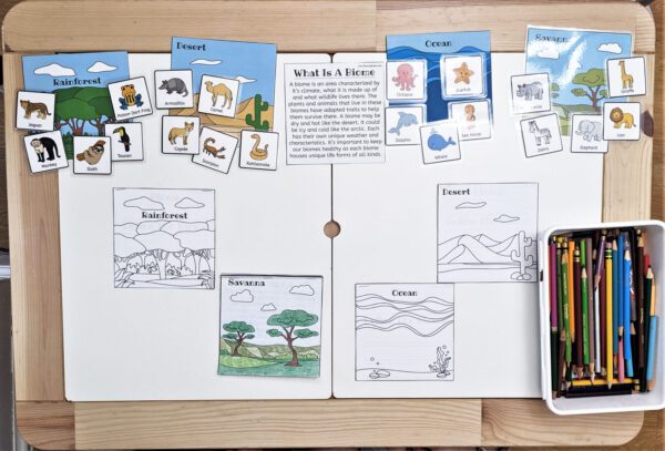 BIOMES – 7 booklets, 35 animals and an animal sorting activity ...