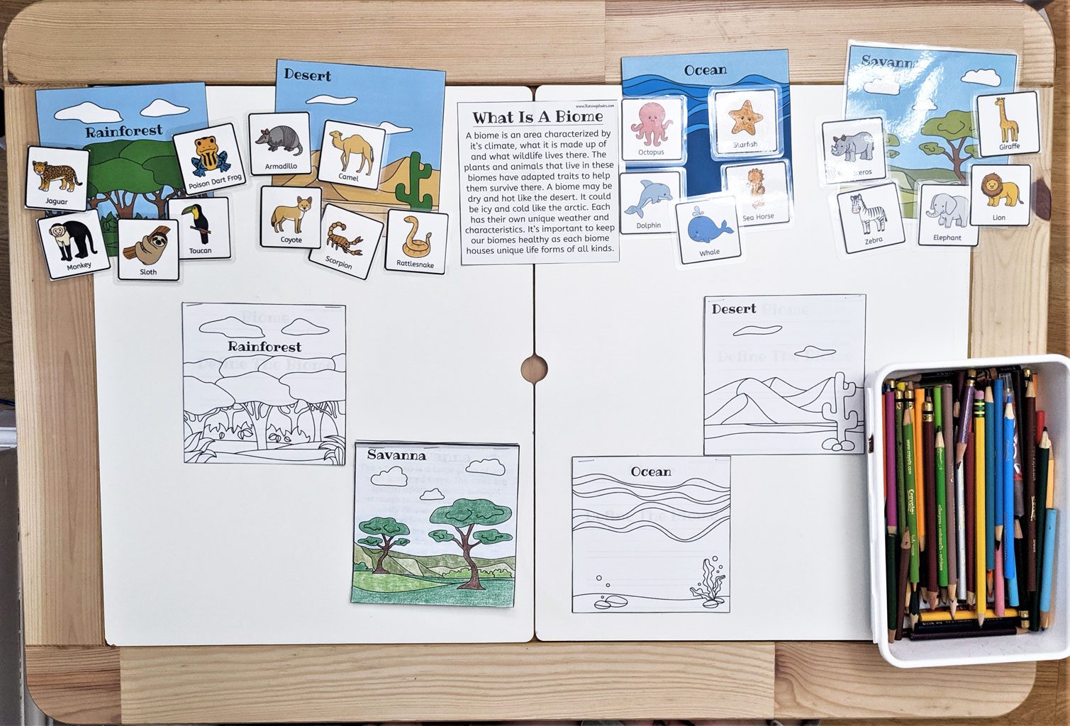BIOMES – 7 booklets, 35 animals and an animal sorting activity ...