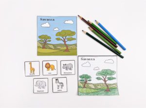 BIOMES – 7 booklets, 35 animals and an animal sorting activity ...