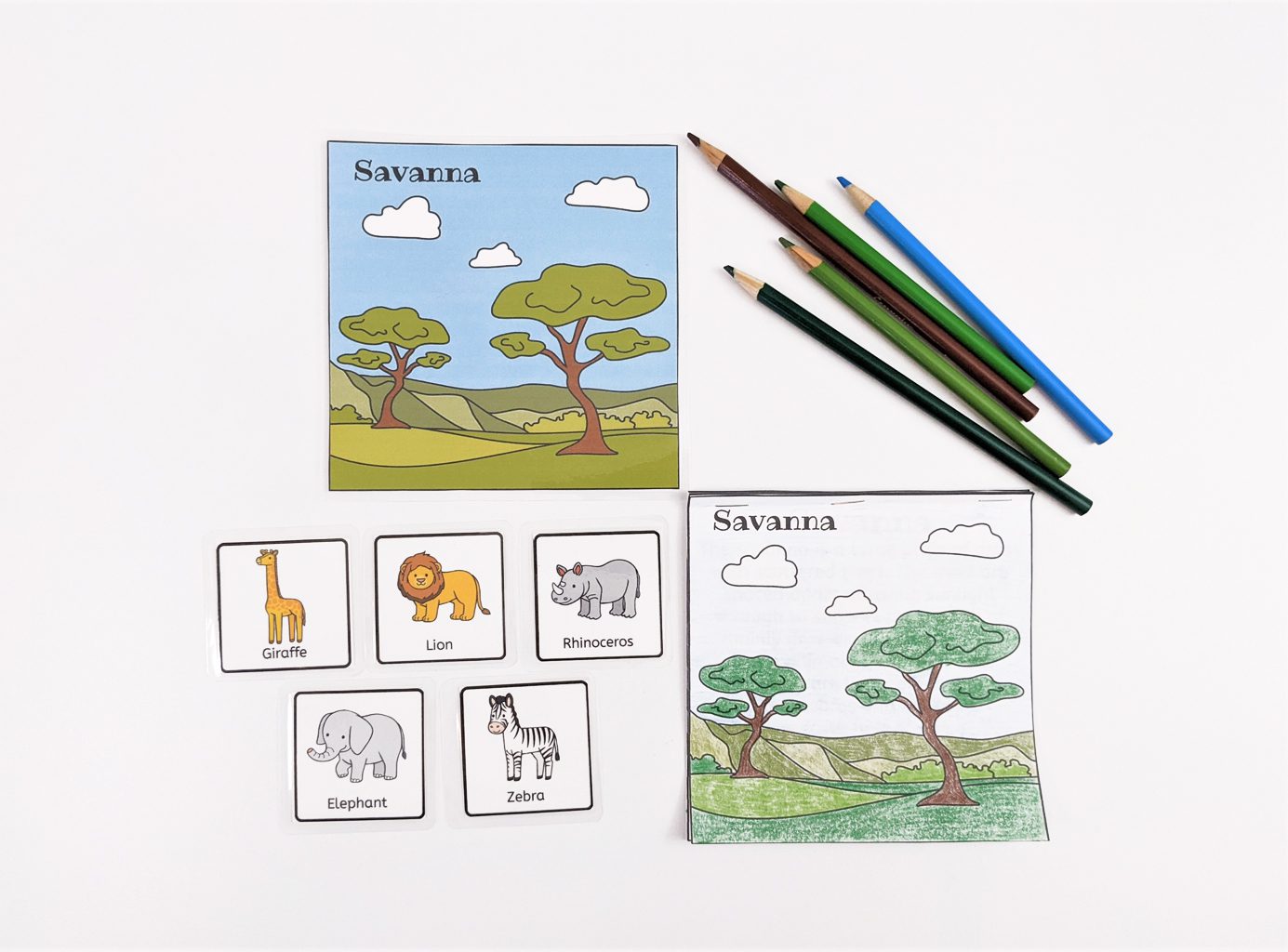 BIOMES – 7 booklets, 35 animals and an animal sorting activity ...