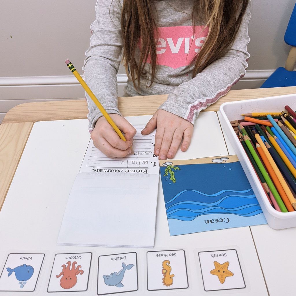 BIOMES – 7 booklets, 35 animals and an animal sorting activity ...