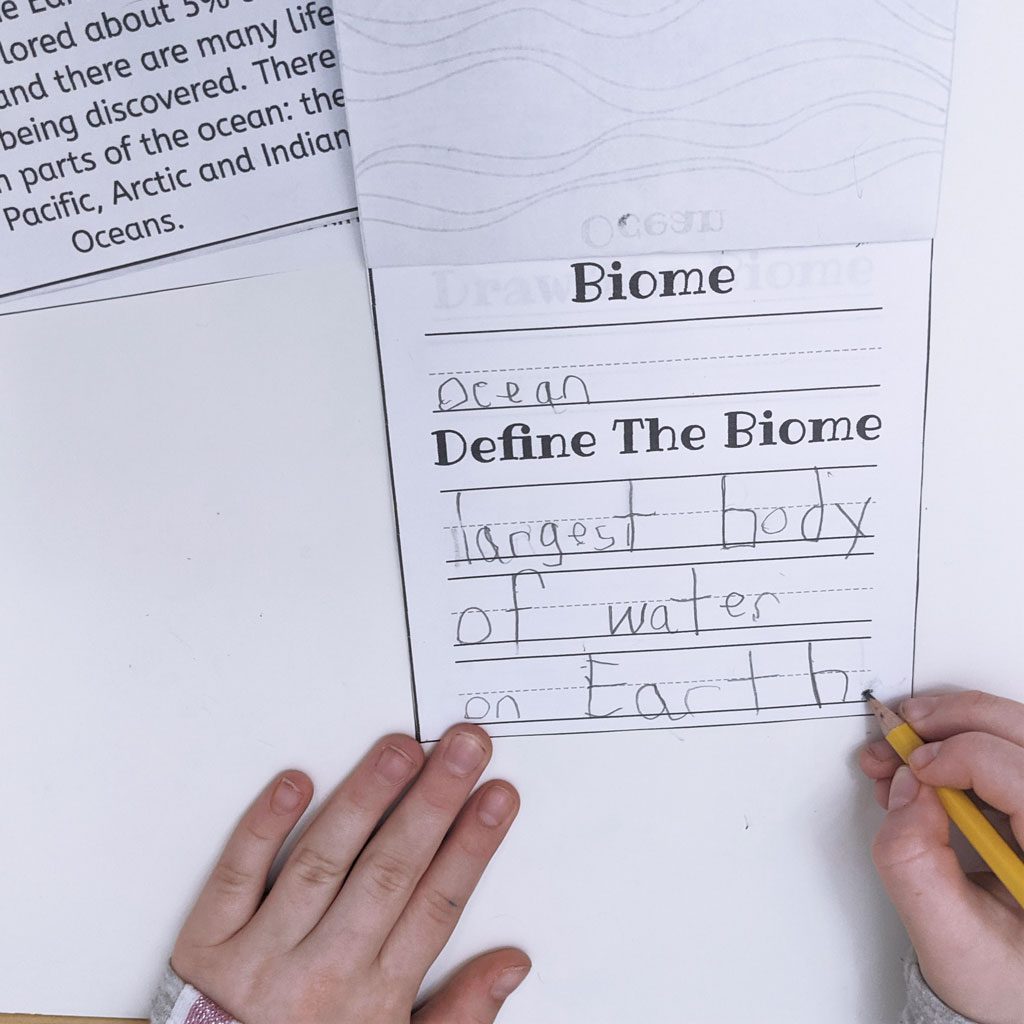 BIOMES – 7 booklets, 35 animals and an animal sorting activity ...