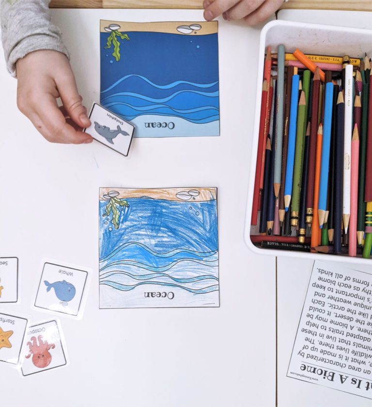 BIOMES – 7 booklets, 35 animals and an animal sorting activity ...