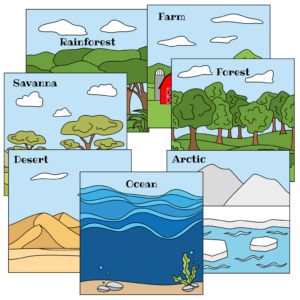 BIOMES – 7 booklets, 35 animals and an animal sorting activity ...