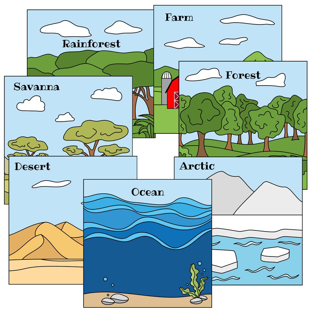 BIOMES – 7 booklets, 35 animals and an animal sorting activity ...