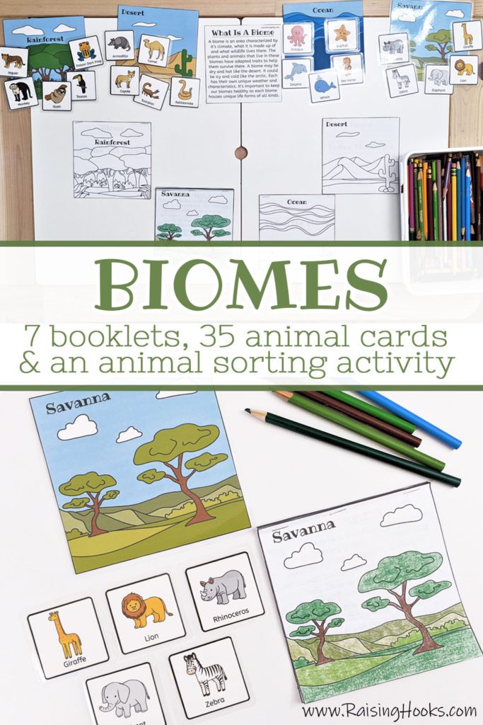 BIOMES - 7 booklets, 35 animals and an animal sorting activity ...