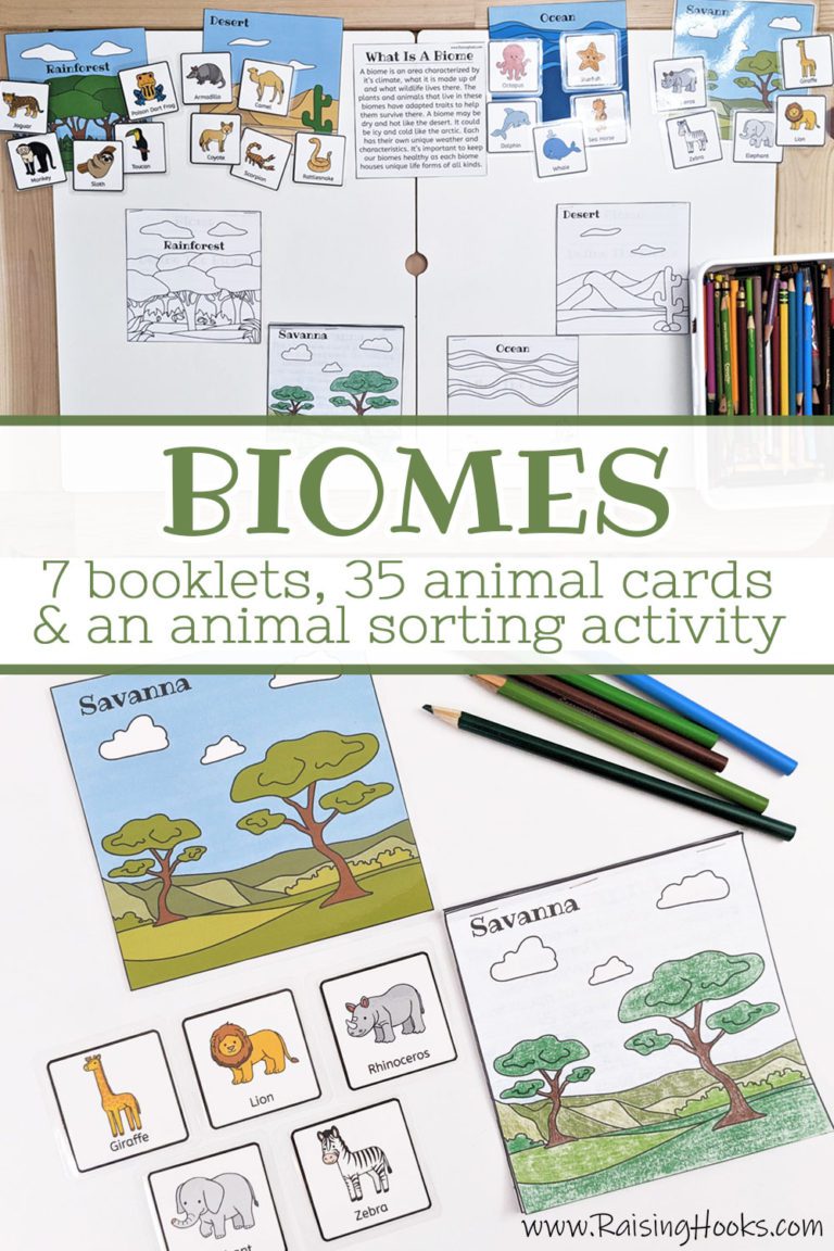 BIOMES - 7 booklets, 35 animals and an animal sorting activity ...