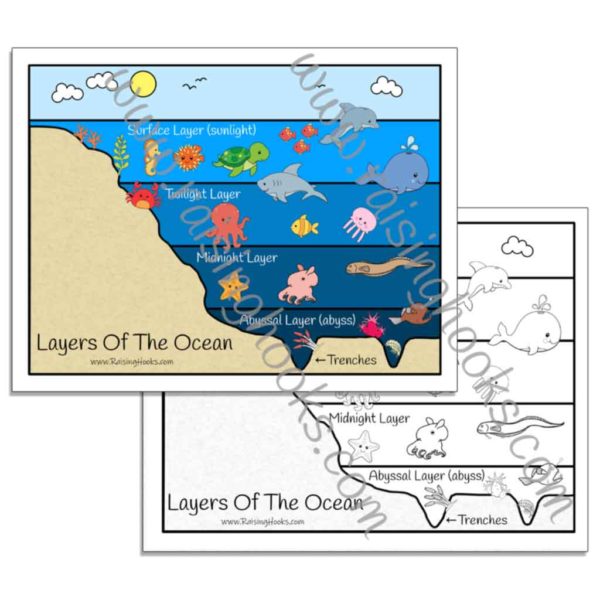 Ocean Diorama - Raising Hooks