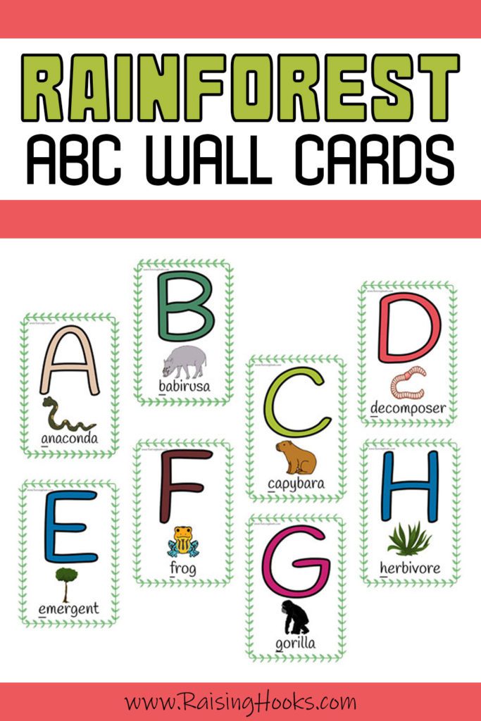 BIOMES – 7 booklets, 35 animals and an animal sorting activity ...