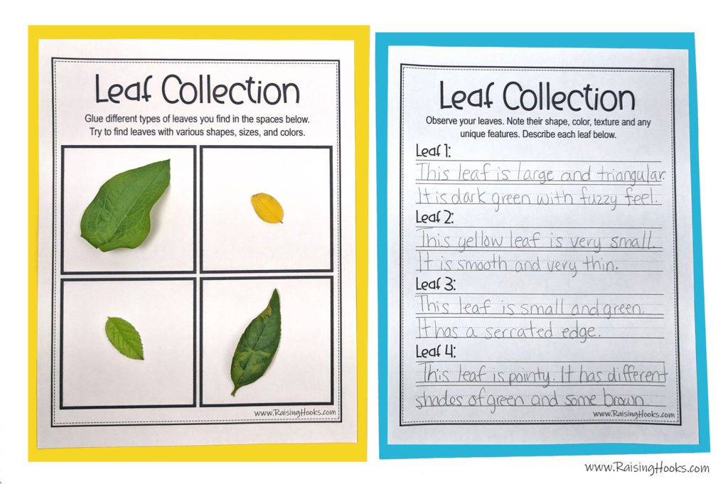 Nature Treasures – An Educational Activity Inspiring Creativity With Nature