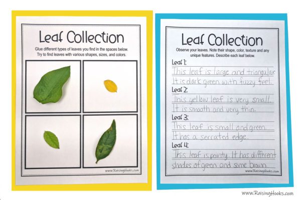 Nature Treasures – An Educational Activity Inspiring Creativity With Nature