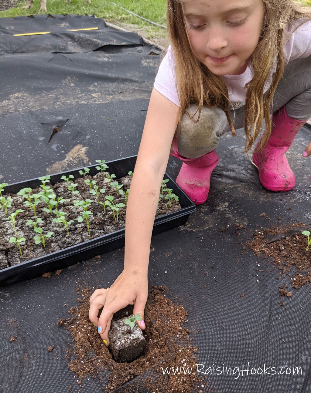 Growing Memories – A Guide to Gardening With Kids