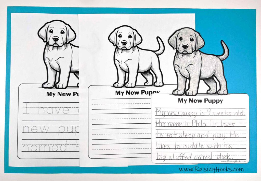 Puppyschooling – Homeschooling With A Puppy - Raising Hooks