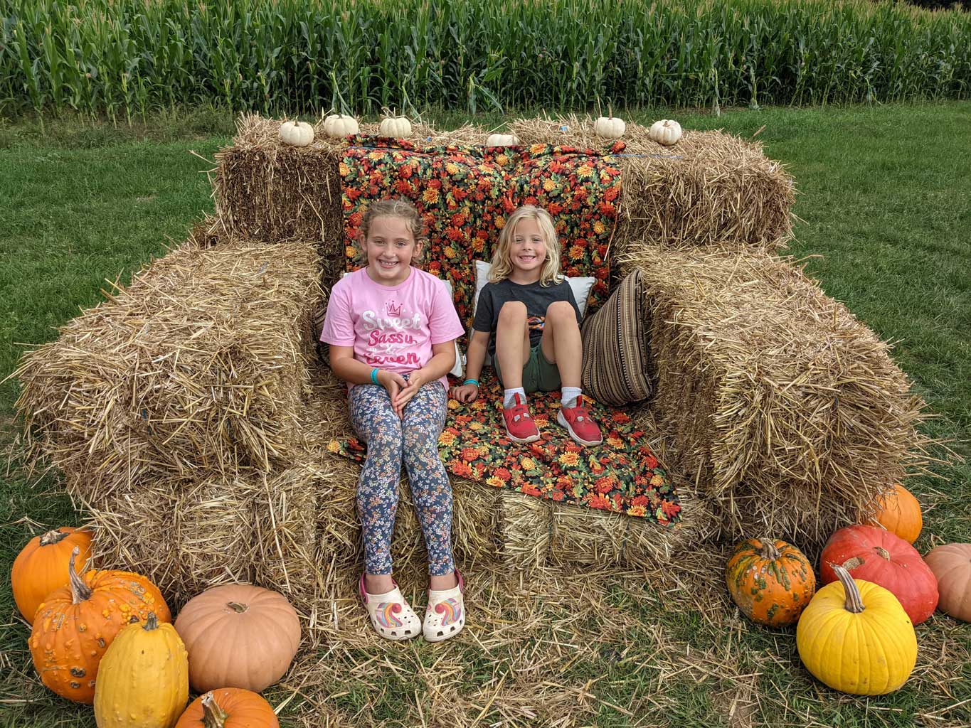 I Sense Fall Writing and Drawing Activity - Raising Hooks