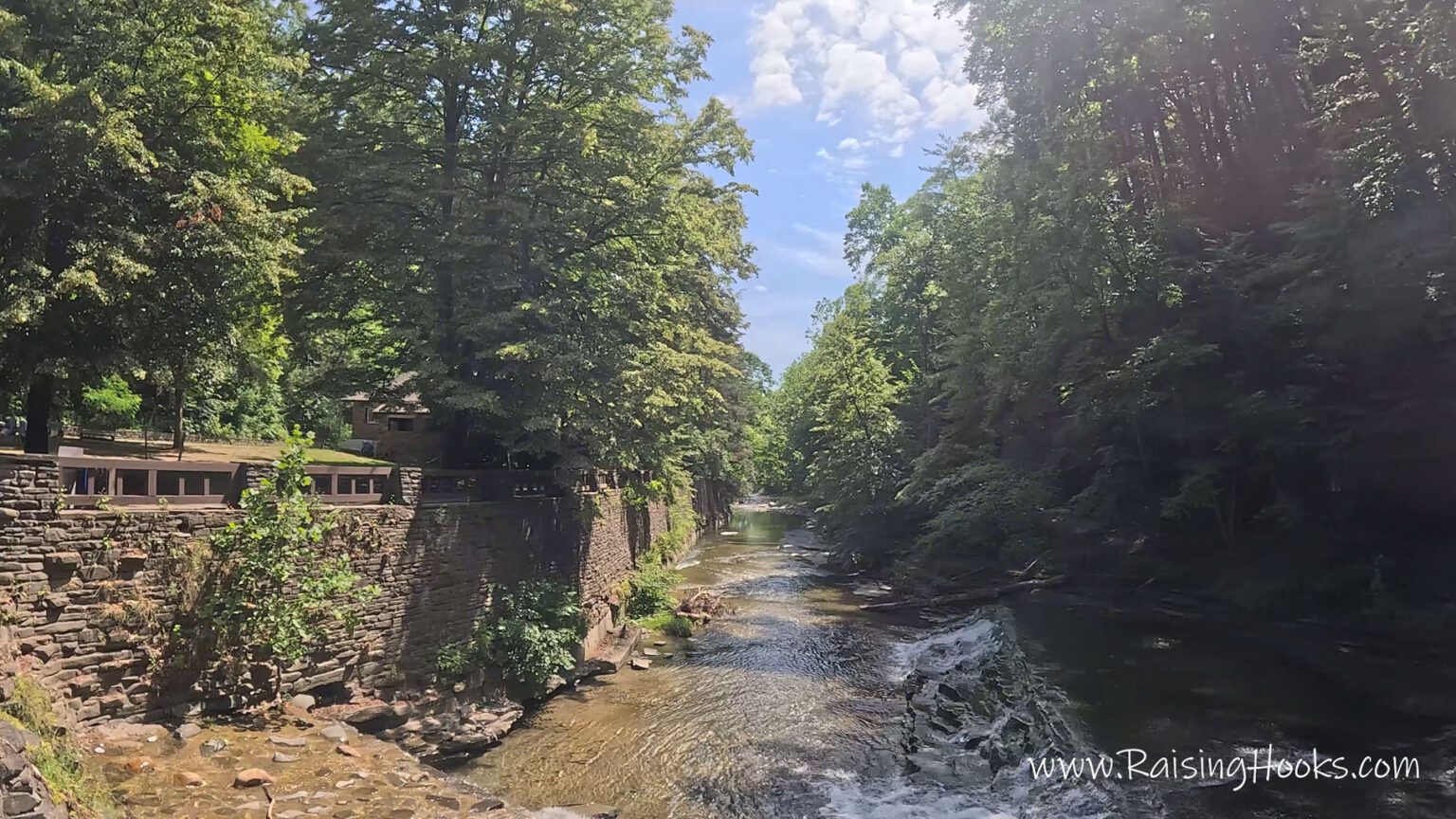 Chasing Waterfalls: Family Fun at Lower Enfield Falls - Raising Hooks